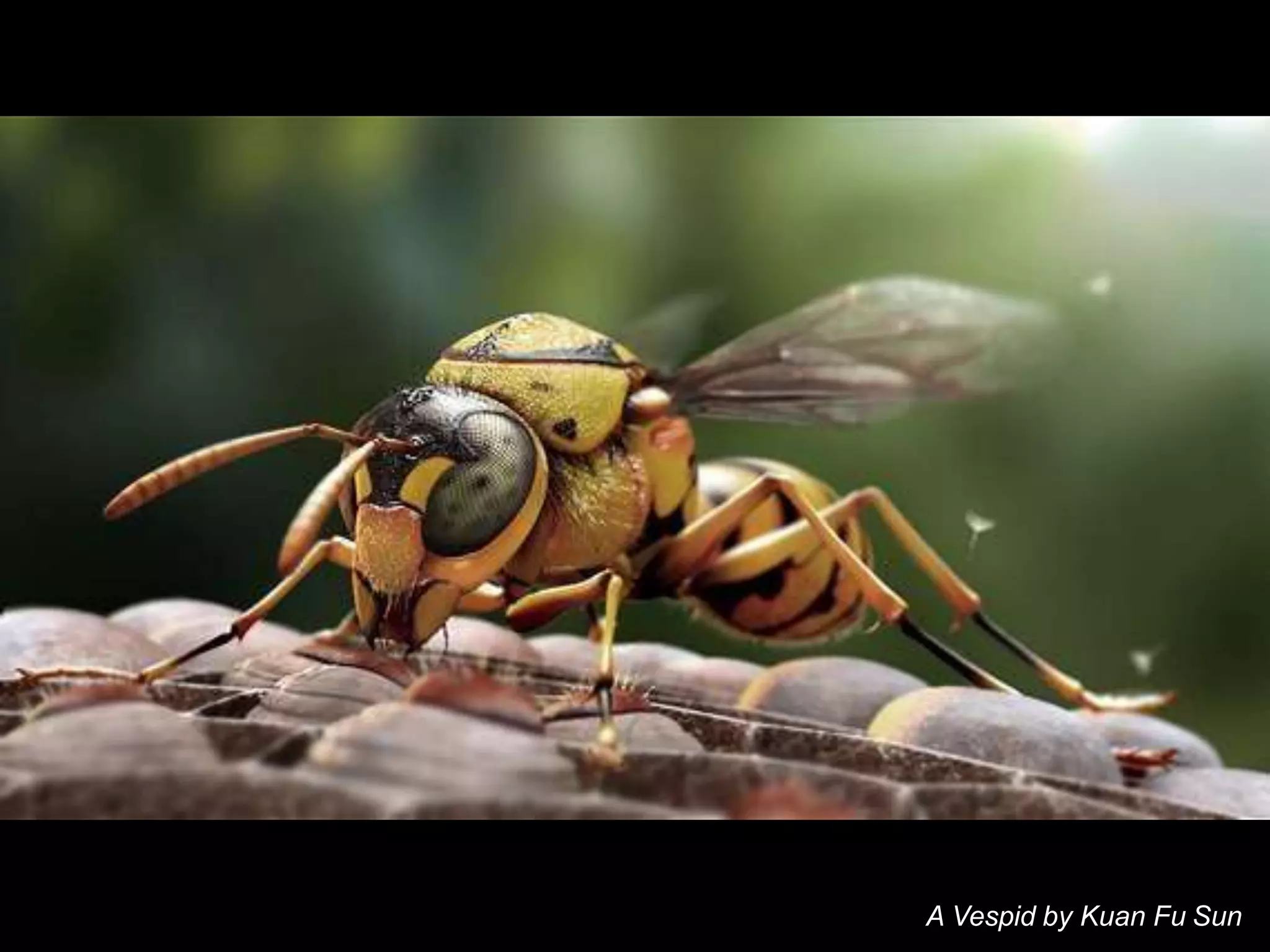 Photorealism: 30+ best examples | PPT