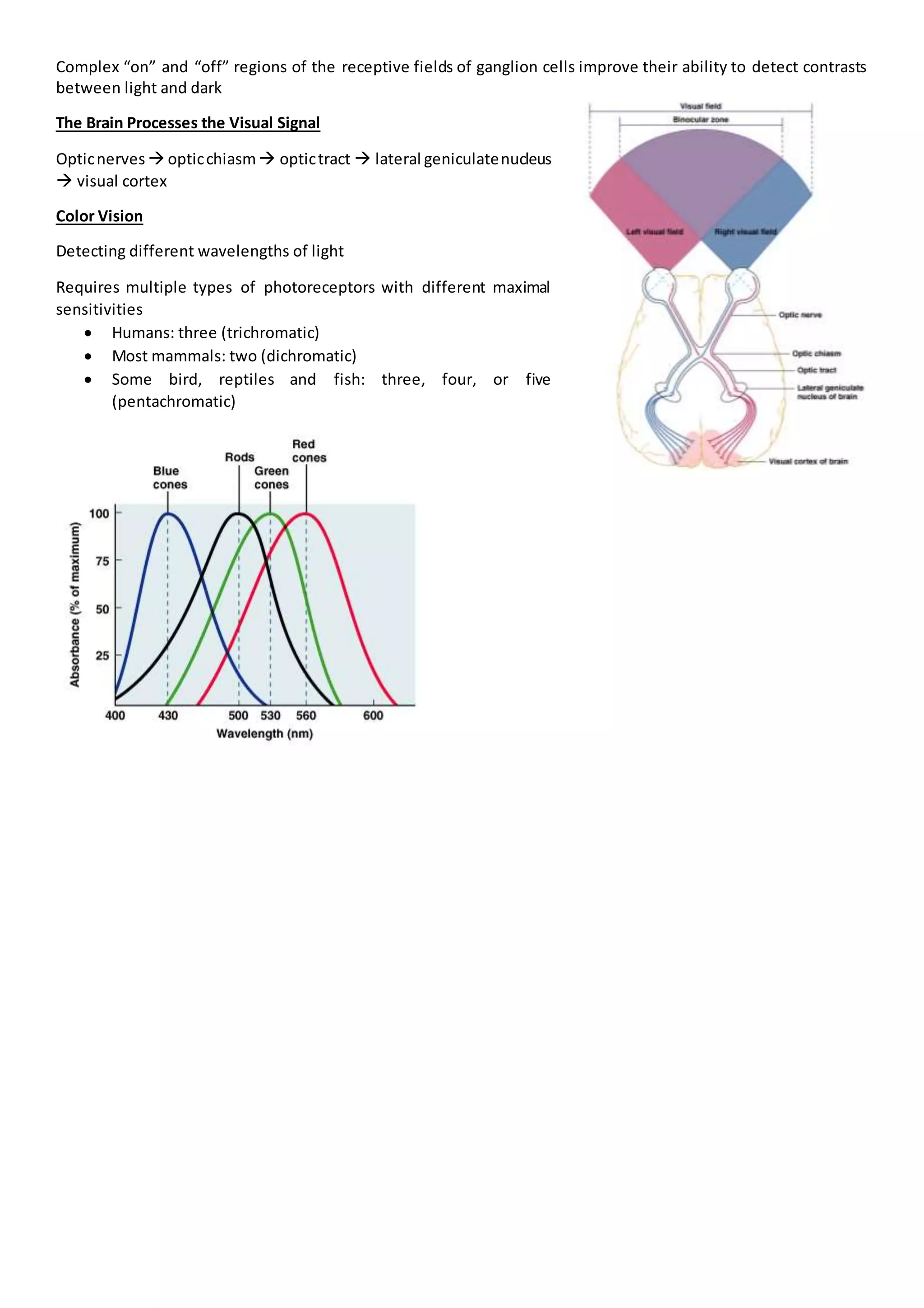 Photoreception | DOCX