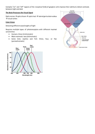 Photoreception | DOCX | Eye and Vision Conditions | Diseases and Conditions