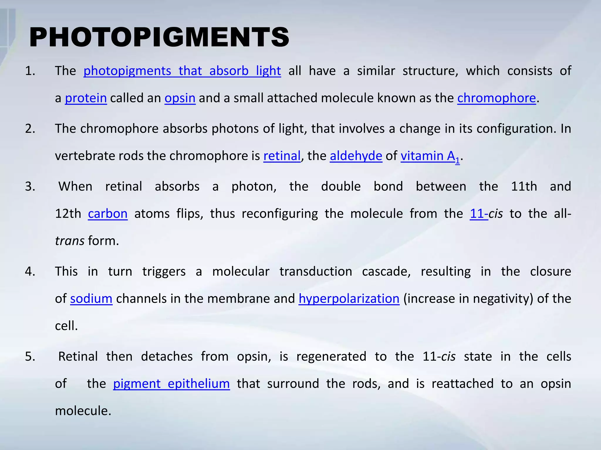 PHOTORECEPTION. .......pptx