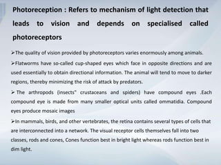 PHOTORECEPTION. .......pptx