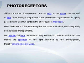 PHOTORECEPTION. .......pptx