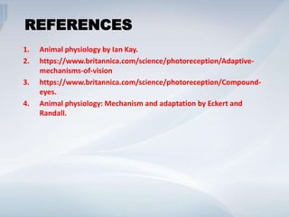 PHOTORECEPTION. .......pptx