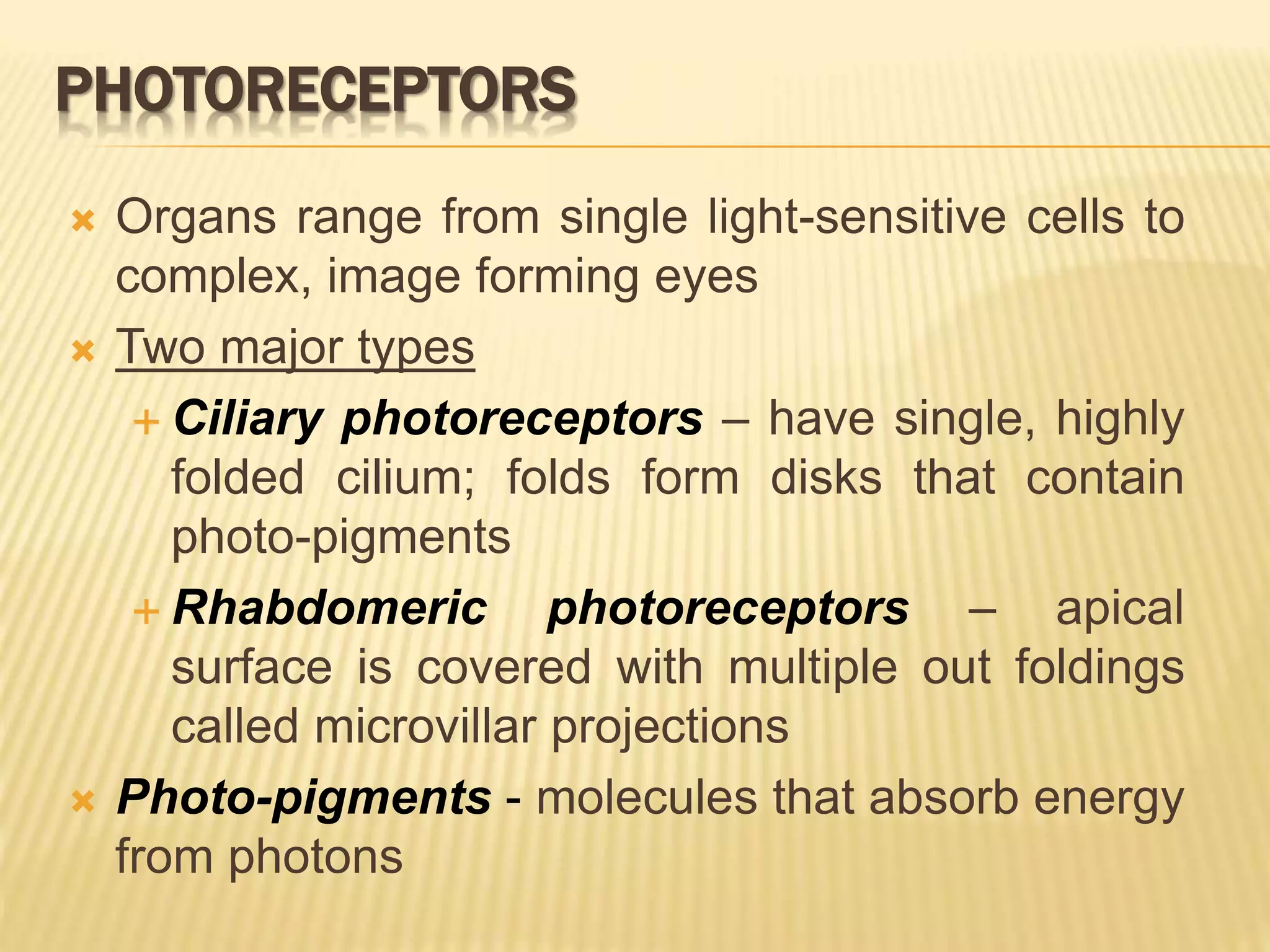 Photoreception (1) | PPTX