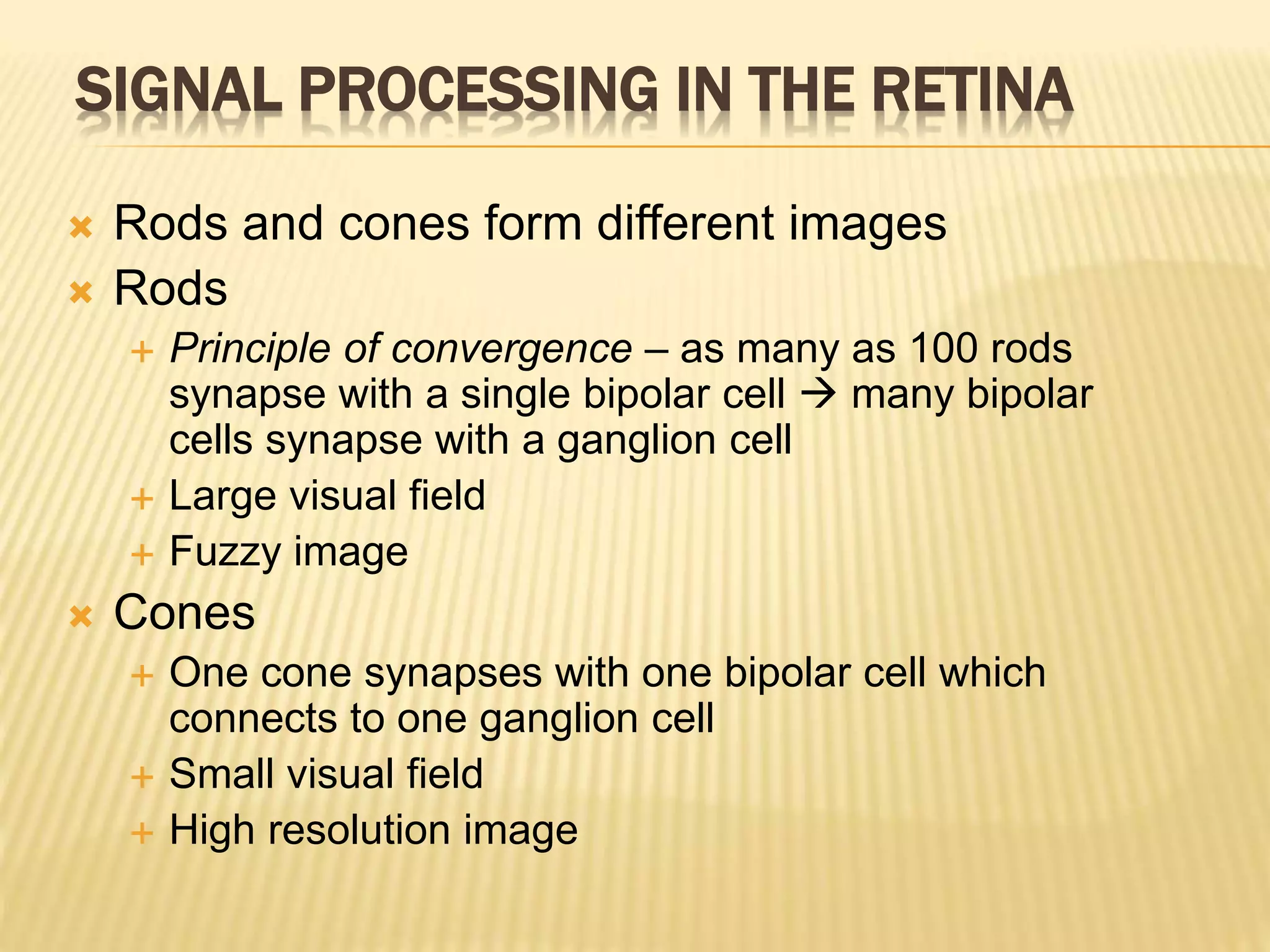 Photoreception (1) | PPTX