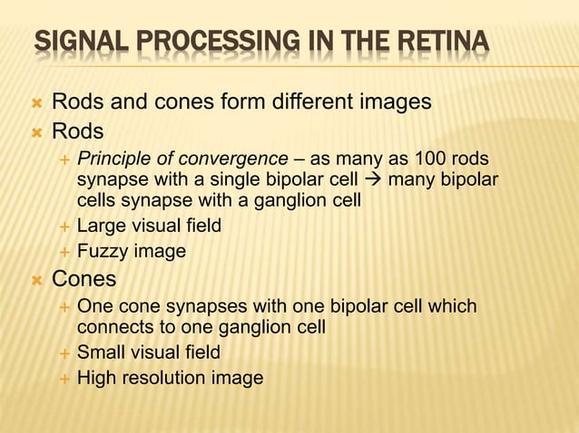 Photoreception (1) | PPTX | Eye and Vision Conditions | Diseases and ...