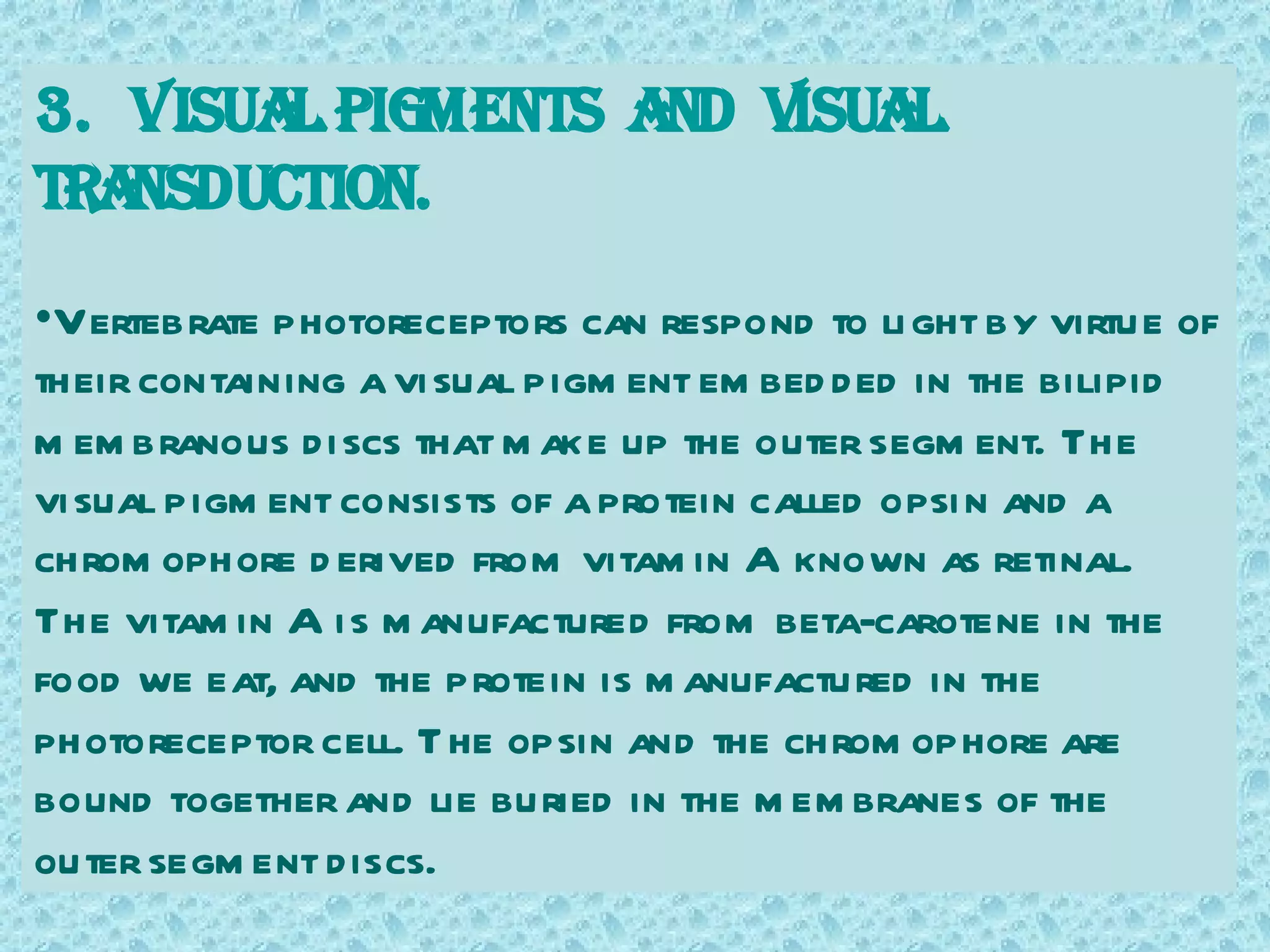 Photoreceptors | PPT