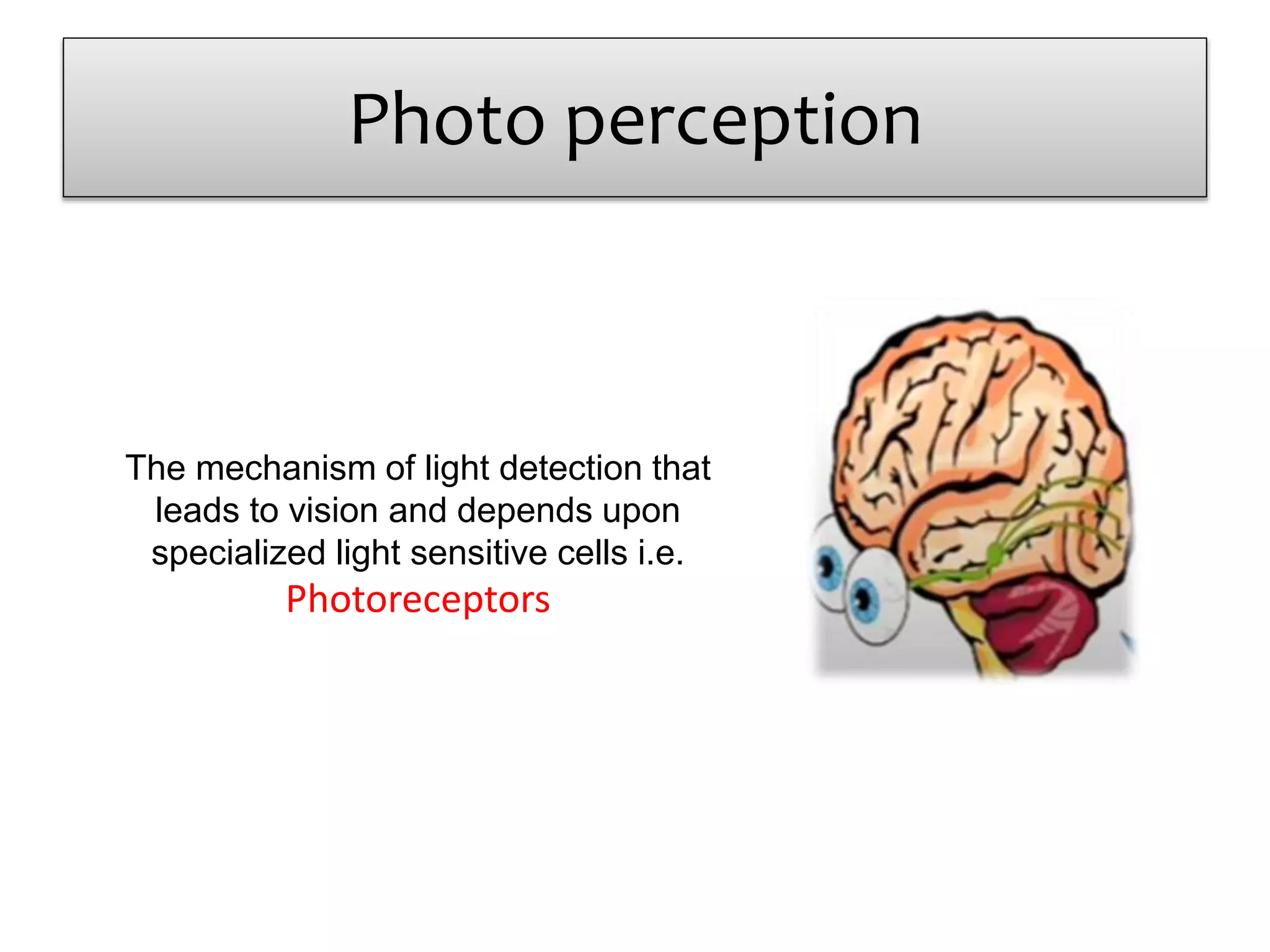 PHOTORECEPTORS CELLS.pptx