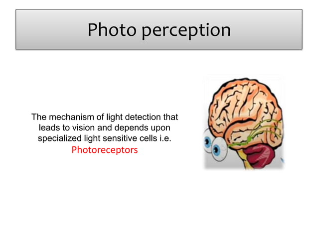 PHOTORECEPTORS CELLS.pptx
