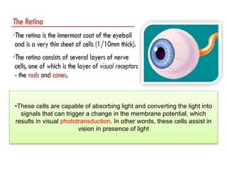 PHOTORECEPTORS CELLS.pptx