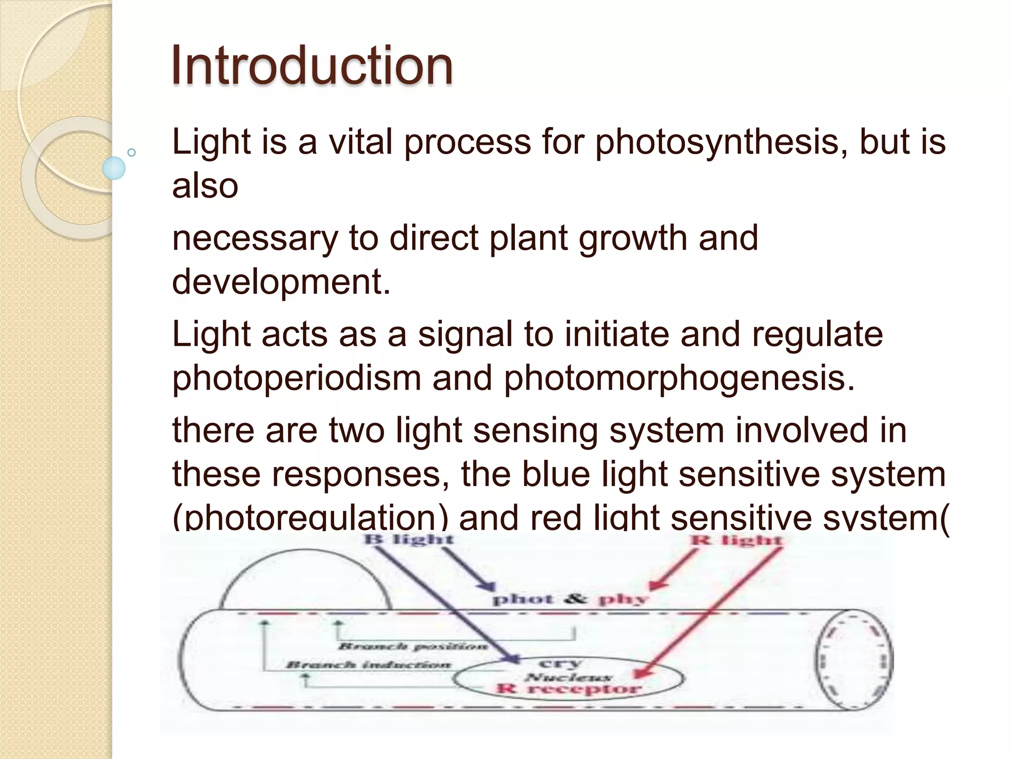 Photoregulation | PPTX
