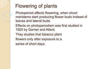 Photoregulation | PPTX