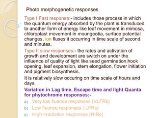Photoregulation | PPTX