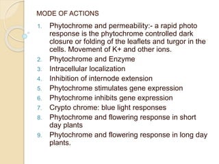 Photoregulation | PPTX
