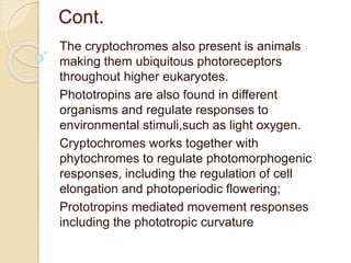 Photoregulation | PPTX