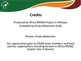 Photo report on the Science Forum 2016 field visit to Africa RISING ...