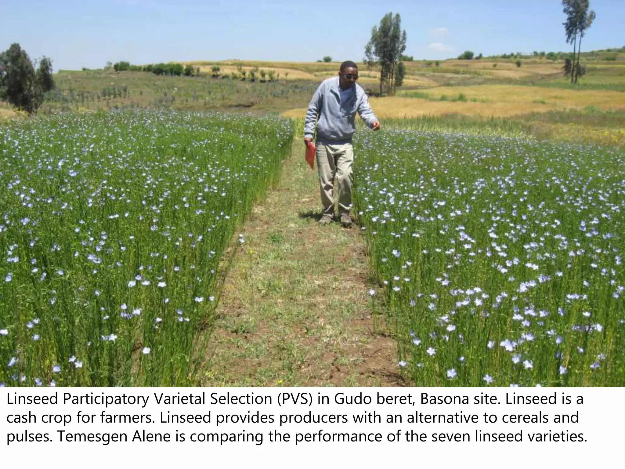 Photo report on Africa RISING research for development (R4D) and ...