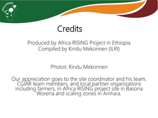 Photo report on Africa RISING research for development (R4D) and ...