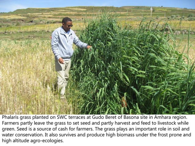 Photo report on Africa RISING research for development (R4D) and ...