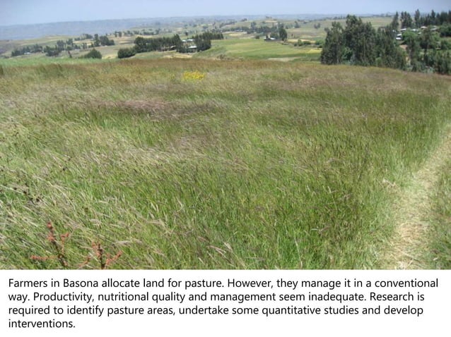 Photo report on Africa RISING research for development (R4D) and ...