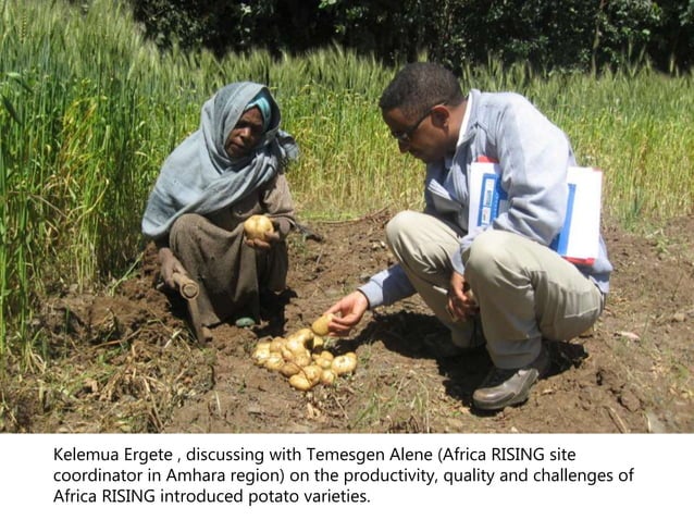 Photo report on Africa RISING research for development (R4D) and ...