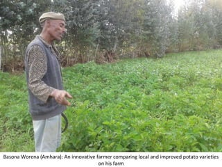 Photo report on field visits to Africa RISING research sites in ...