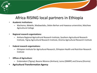Photo report on LIVES, Africa RISING, N2Africa Ethiopia joint workshop ...