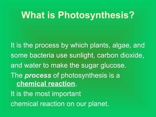 Photosynthesis and Respiration | PPT