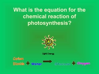 Photosynthesis and Respiration | PPT