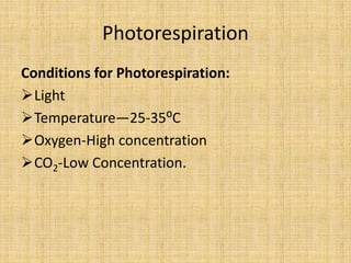 PHOTORESPIRATION | PPTX