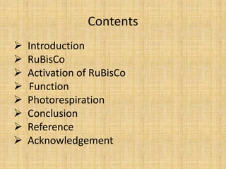 PHOTORESPIRATION | PPTX