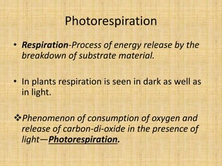 Photorespiration Animation