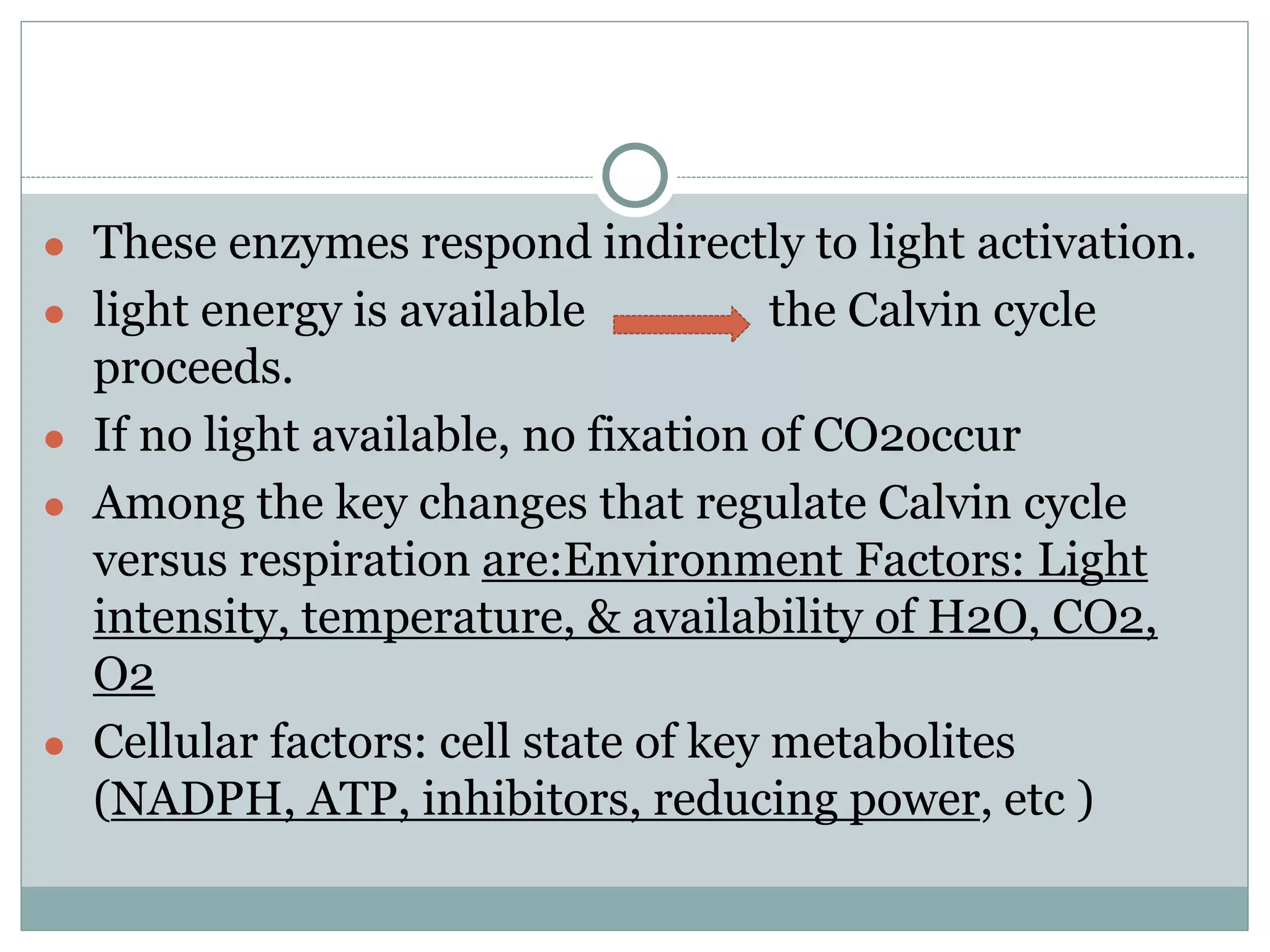 Photorespiration | PPTX