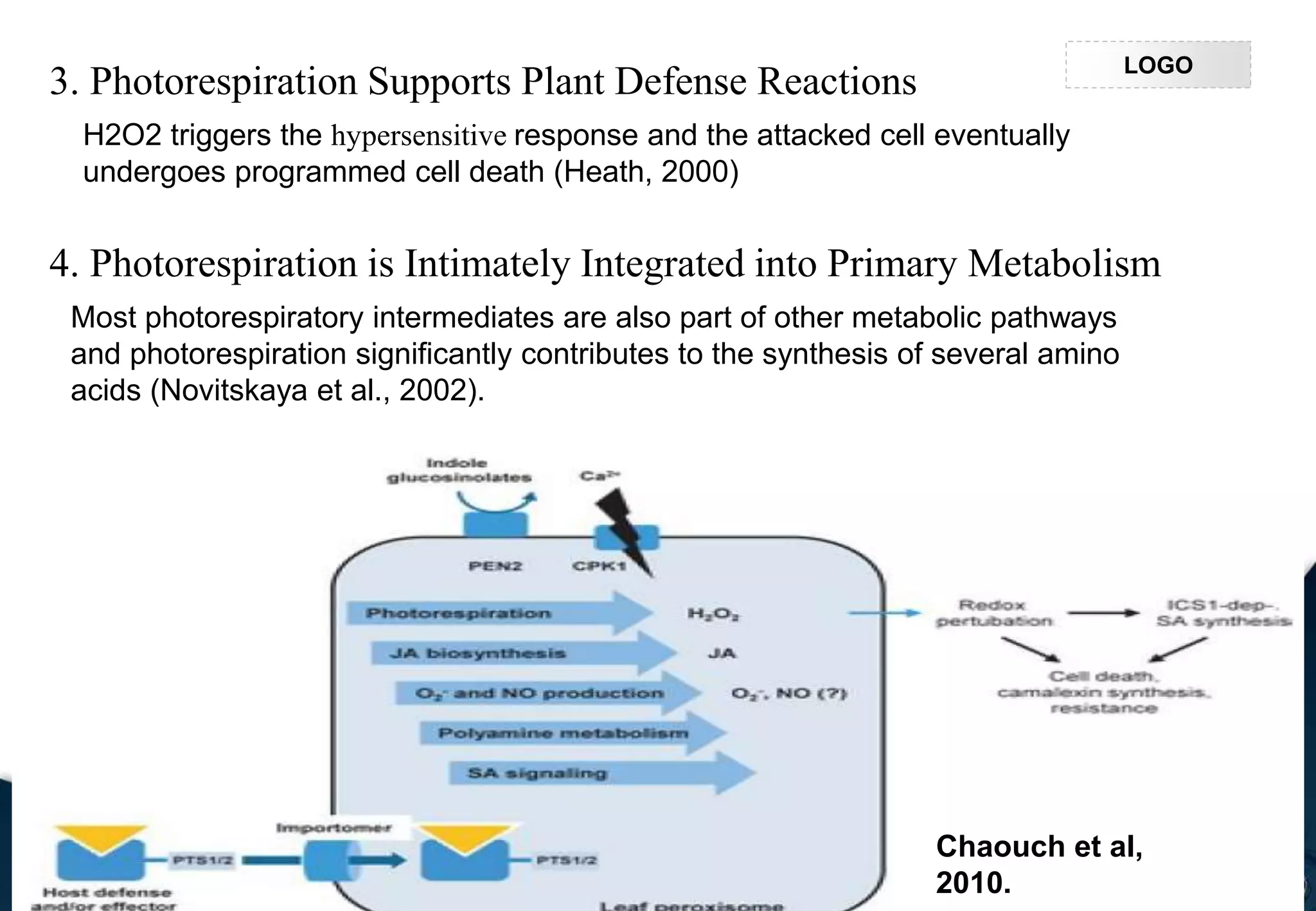 Photorespiration | PPT