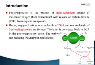 Photorespiration | PPT
