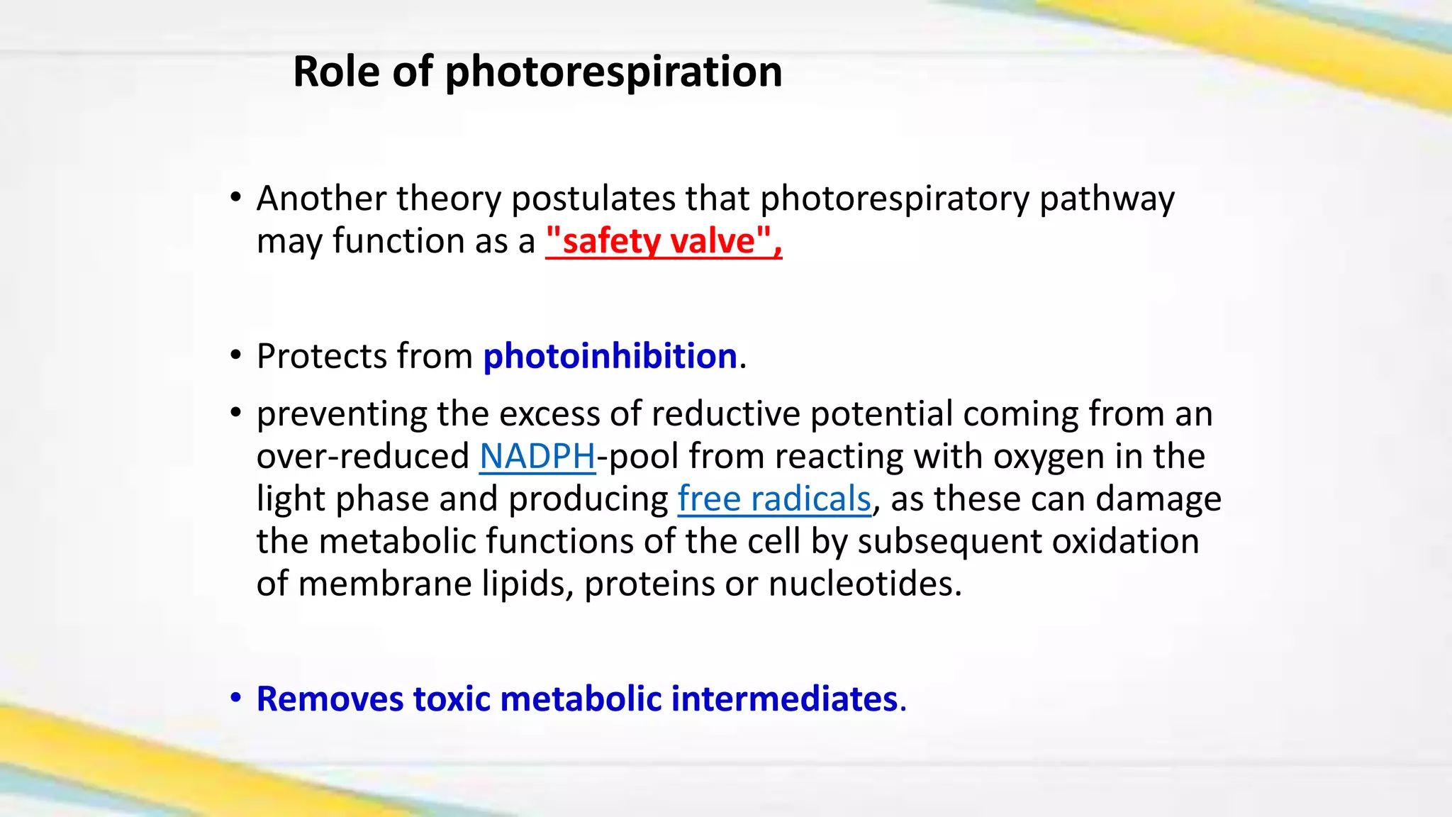 Photorespiration | PPTX