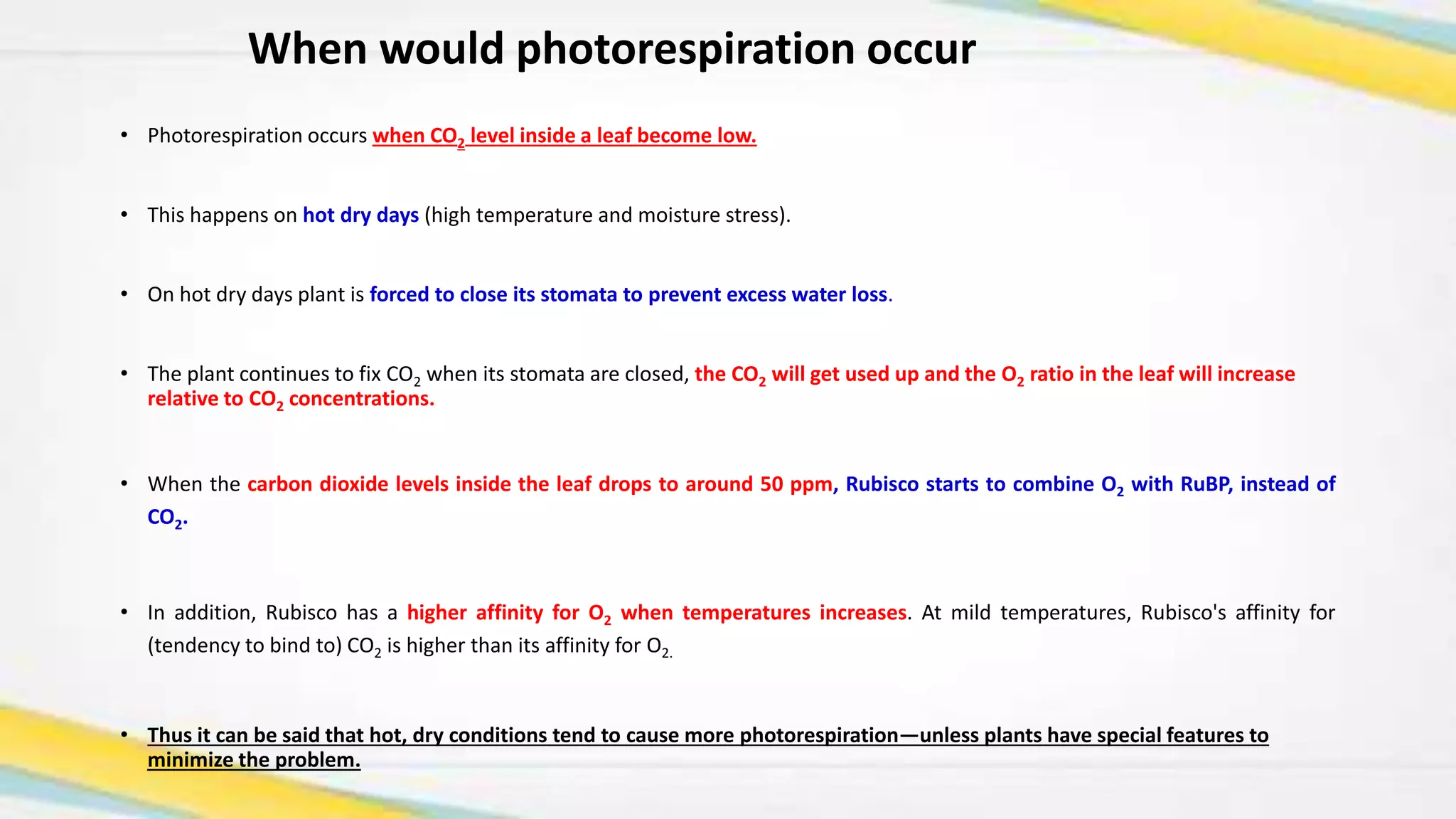 Photorespiration | PPTX
