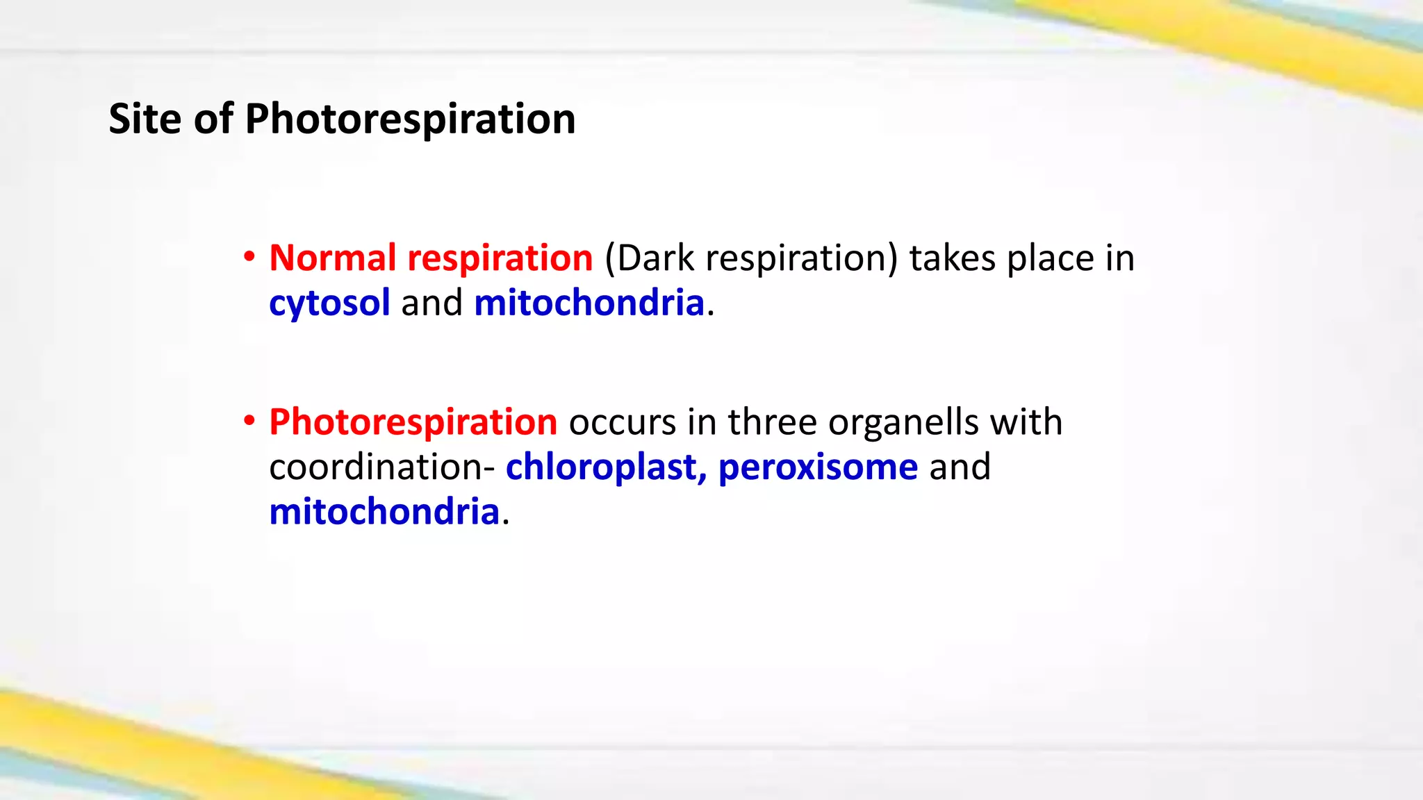 Photorespiration | PPTX