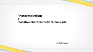 Photorespiration | PPTX