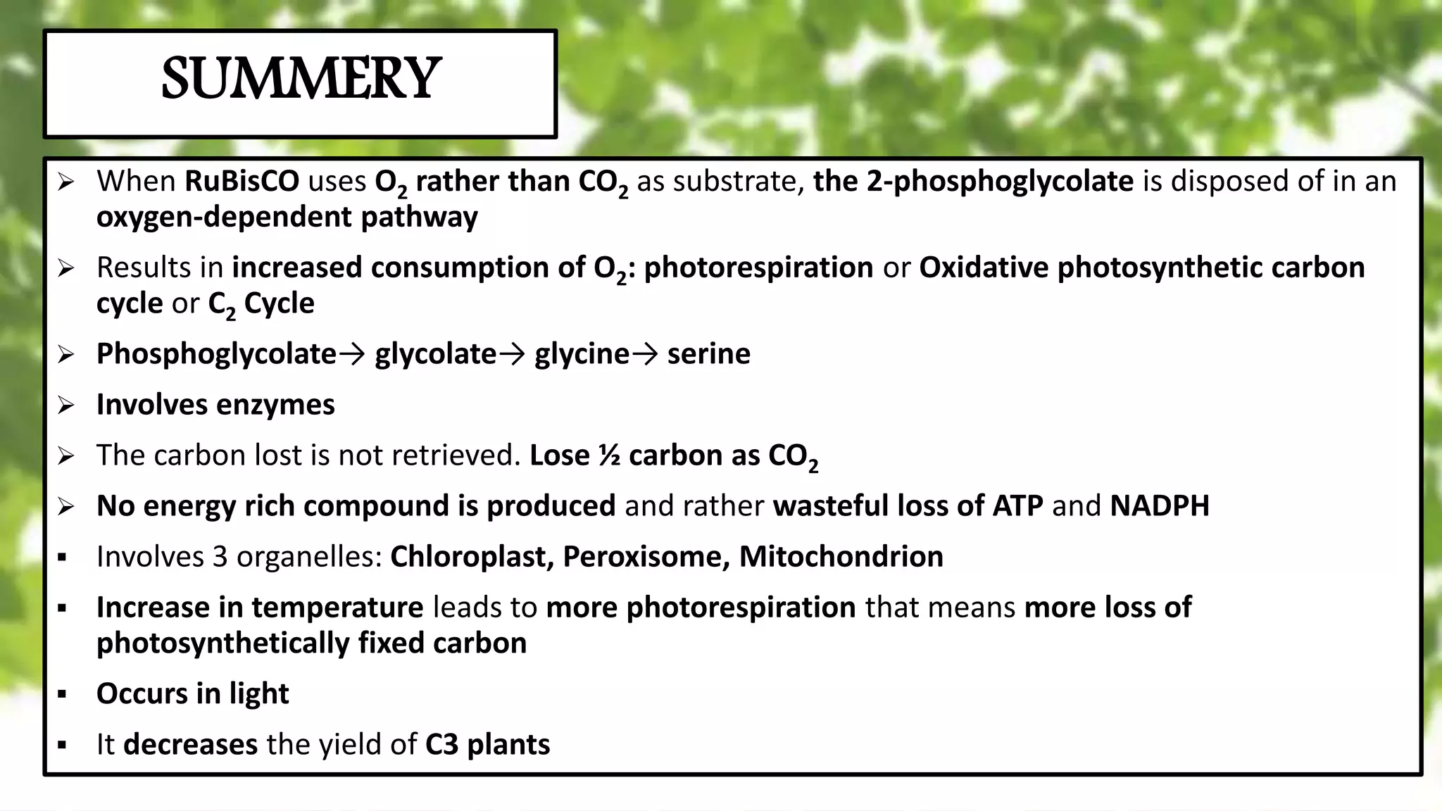 Photorespiration, C2 cycle, Glycolate Pathway | PPTX