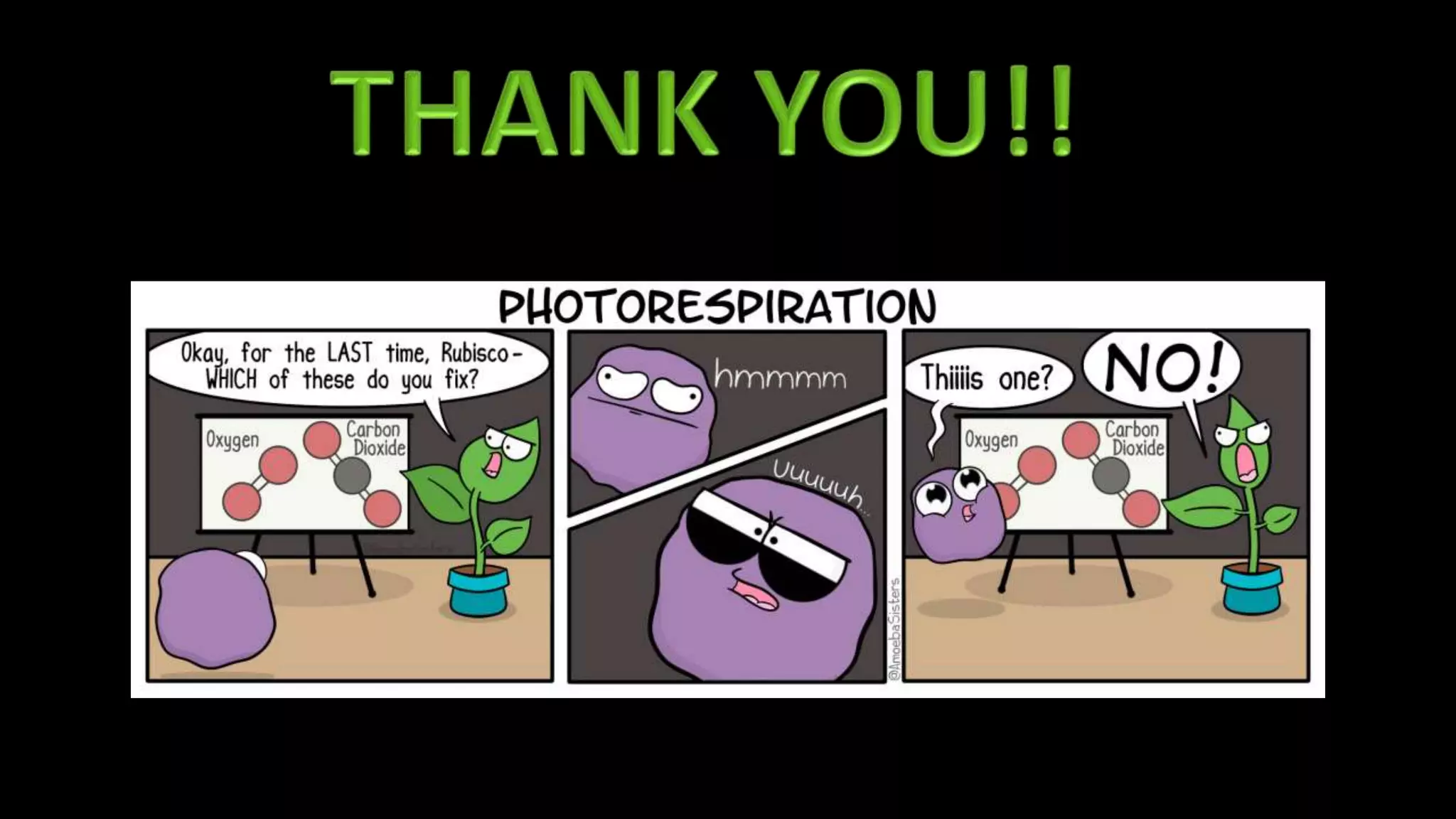 Photorespiration, C2 cycle, Glycolate Pathway | PPTX