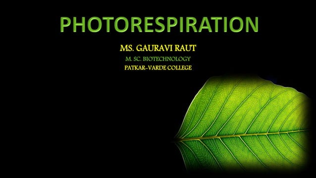 Photorespiration, C2 cycle, Glycolate Pathway | PPTX | Chemistry | Science