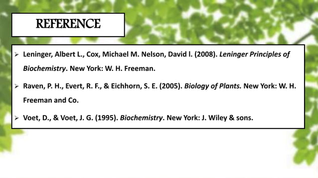 Photorespiration, C2 cycle, Glycolate Pathway | PPTX | Chemistry | Science