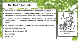 Photorespiration, C2 cycle, Glycolate Pathway | PPTX