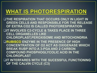 PHOTORESPIRATION.pptx
