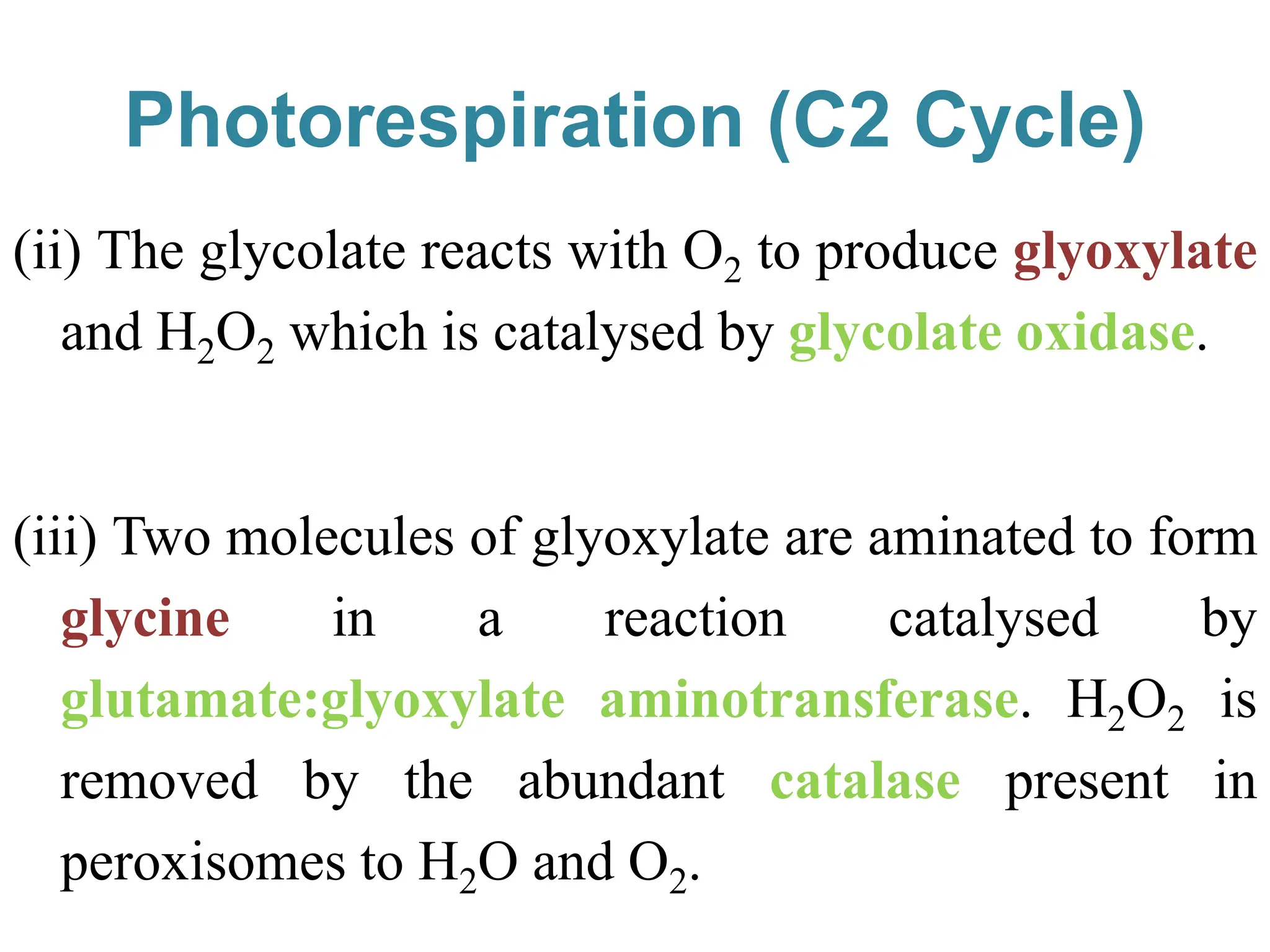 Photorespiration (C2 Pathway) in Plants. | PPTX
