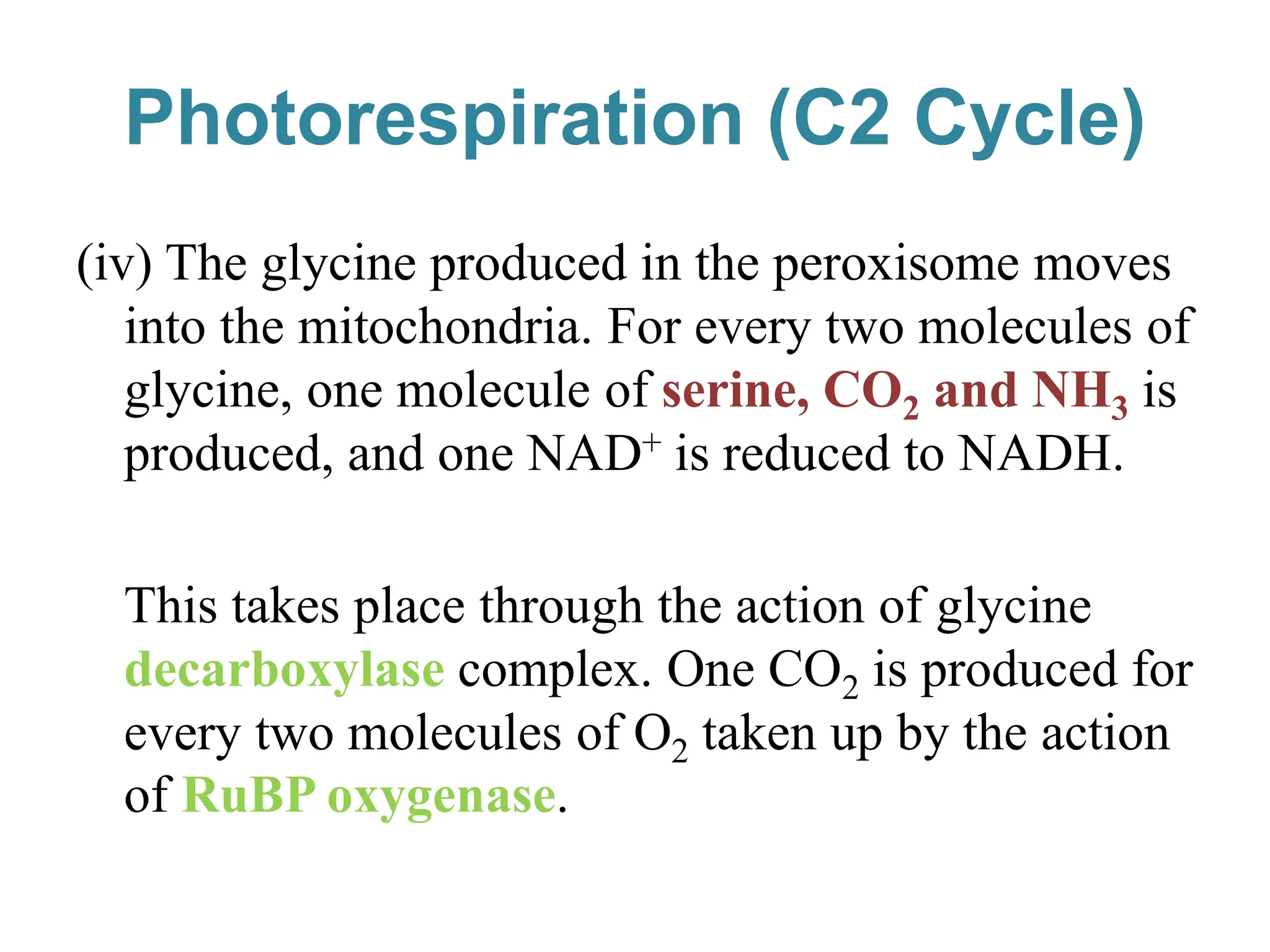 Photorespiration (C2 Pathway) in Plants. | PPTX