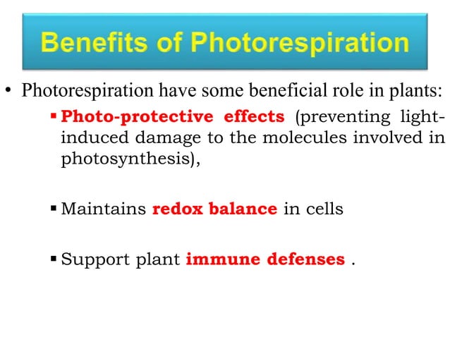 Photorespiration (C2 Pathway) in Plants. | PPTX | Gardening | Home & Garden