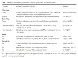 Photorespiration (C2 Pathway) in Plants. | PPTX