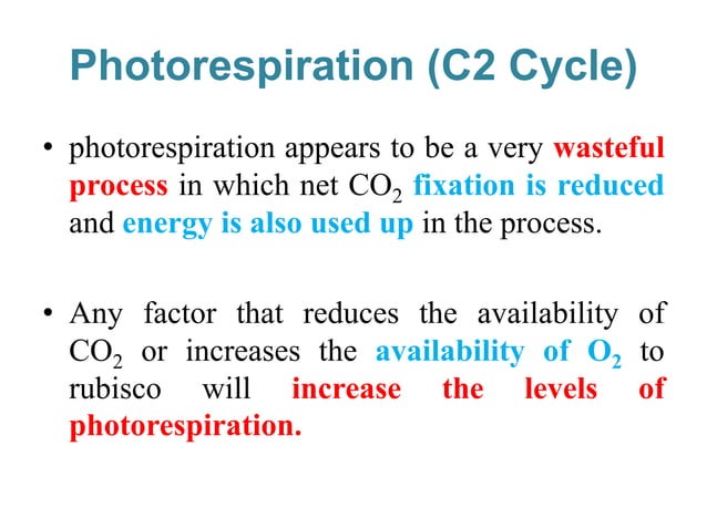 Photorespiration (C2 Pathway) in Plants. | PPTX | Gardening | Home & Garden